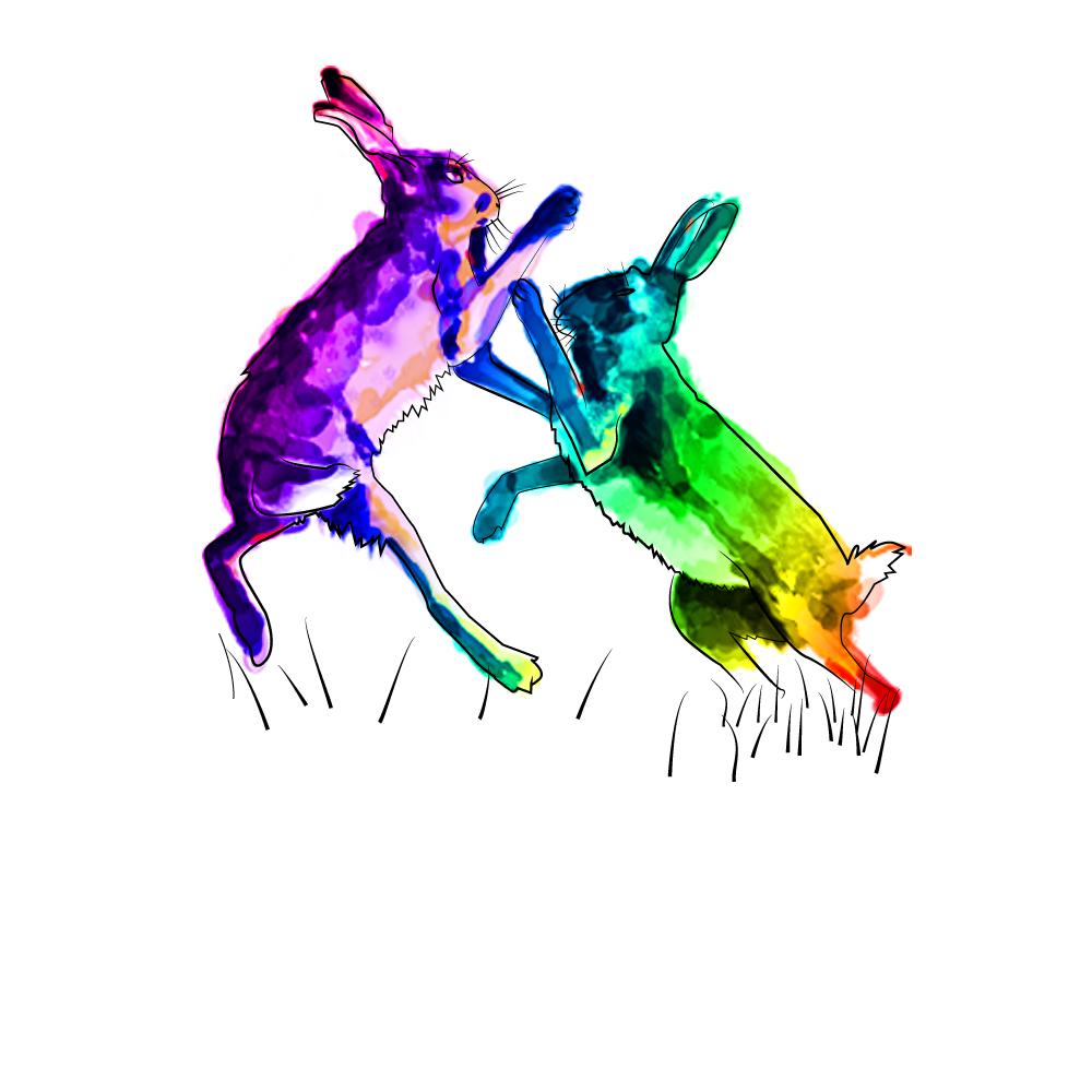 Boxing hares print – ARTsy clothing